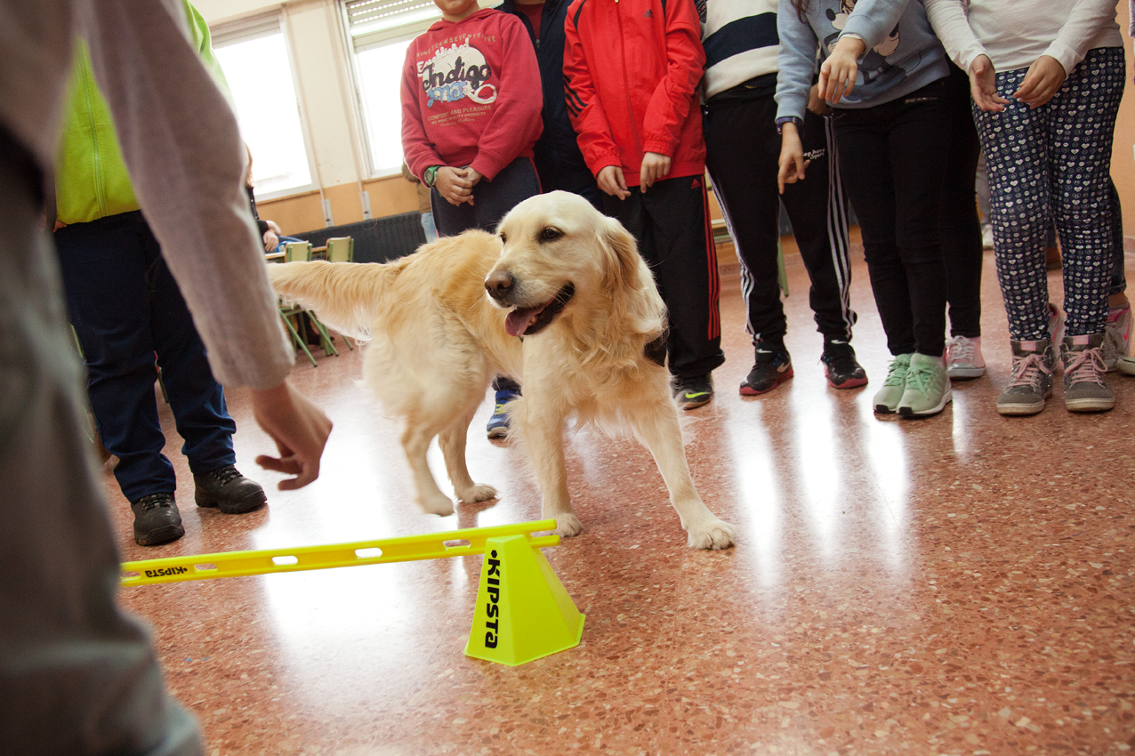 TERAPIA CON PERROS CONTRA EL ACOSO ESCOLAR